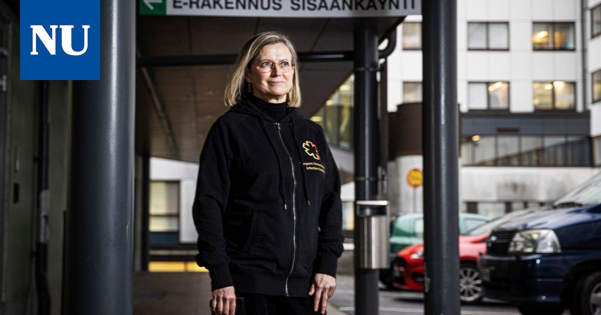 Millainen korona on nykyään, entä kuinka nopeasti se itää? - Nokian Uutiset