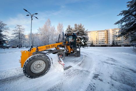 Tiekarhut ovat saaneet olla talviunillaan - Satakunnan Kansa