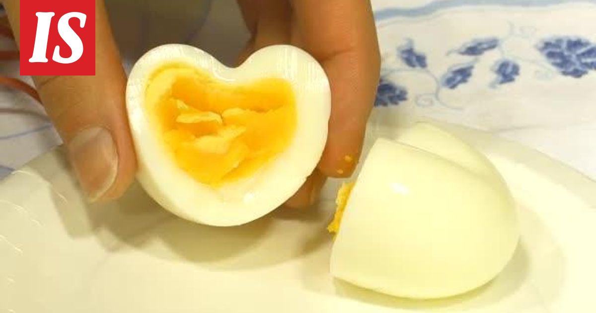 Keitetty kananmuna voi olla sydämenmuotoinen - katso video - Ilta-Sanomat