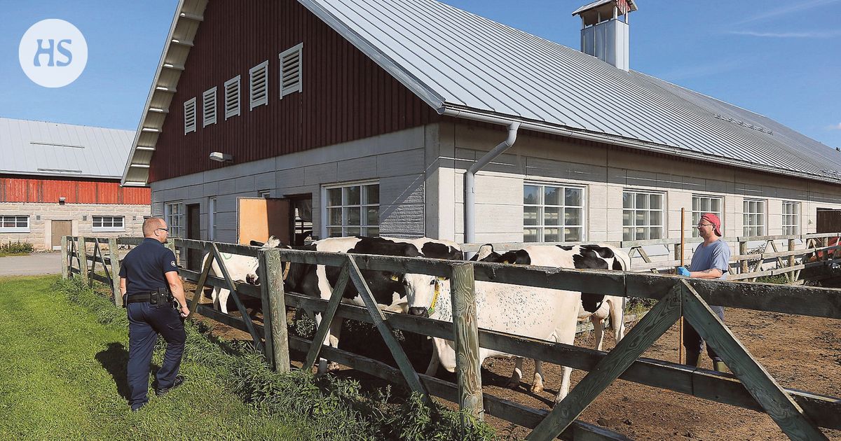 Pelson vankilaa uhkaa jälleen sulkeminen | HS.fi