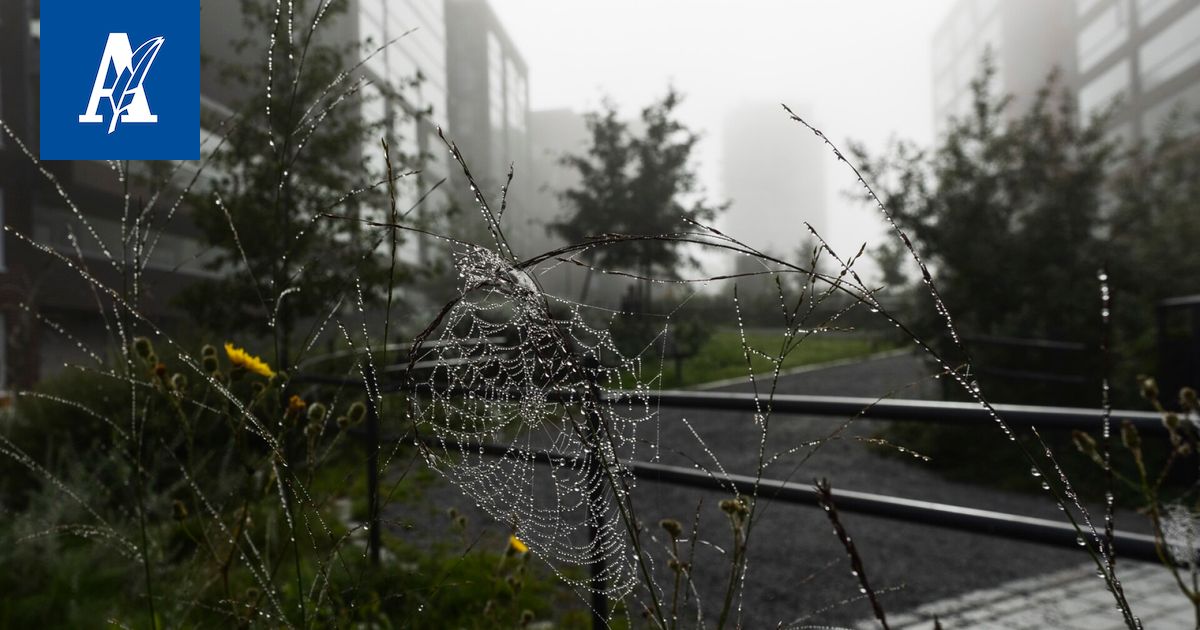 Uusi helle-ennätys saattaa rikkoutua tänään – lisää voi olla luvassa