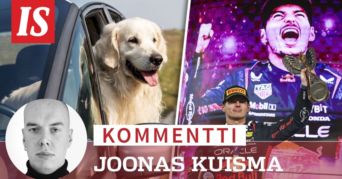 Joonas Kuisman kommentti: Näin kultainennoutaja Masse olisi pärjännyt ...