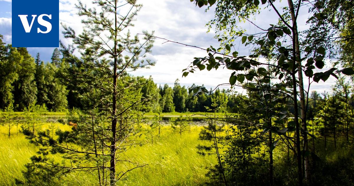 Valkeakoski huutokauppaa kaksi kiinteistöä – Kaupunki torppasi myynnin jo kertaalleen, nyt hinta ...