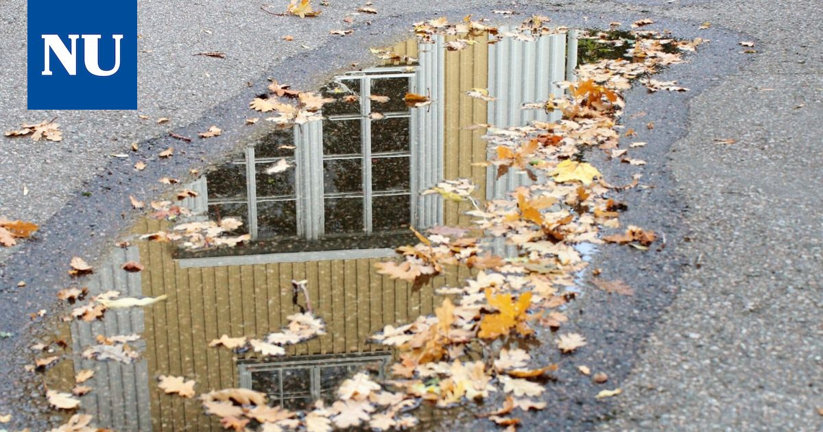 Nokian Uutiset: Lukijoiden syyskuvat: Syksy hehkuu vaahteroissa ja sienissä lukijoiden upeissa ...