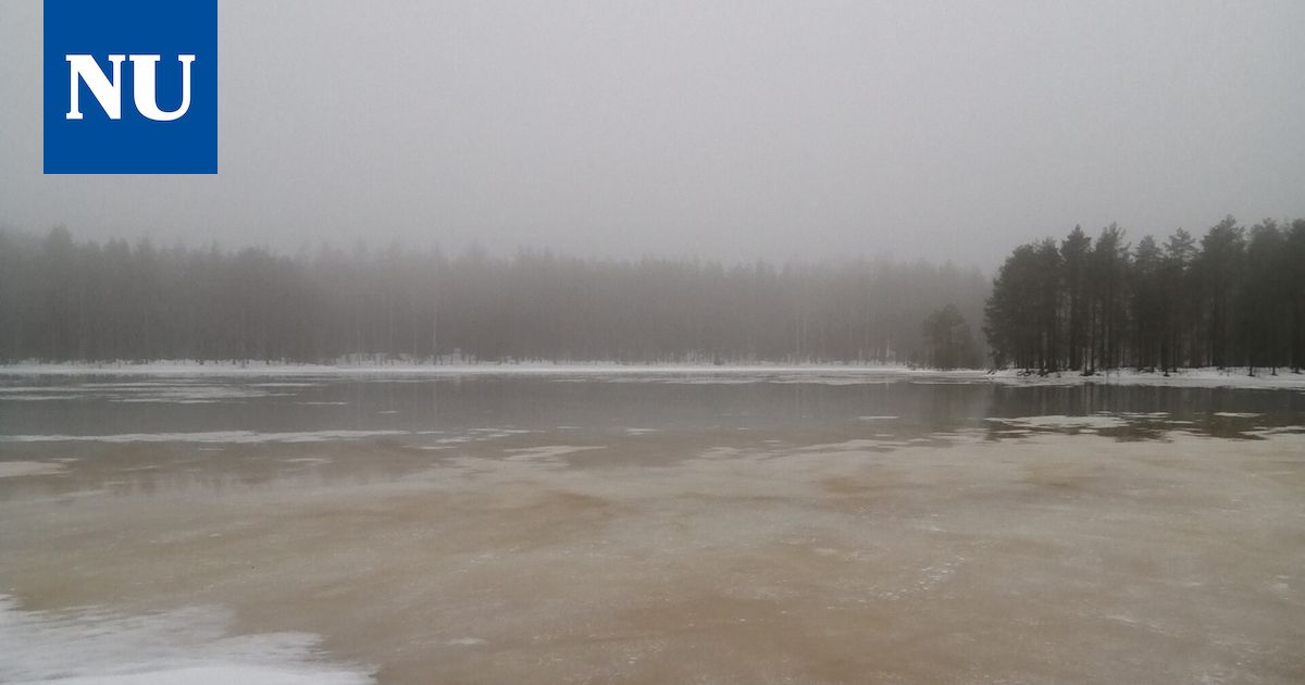 Lukijoiden talvikuvat: Valkoiset hanget vaihtuivat loskaan - Nokian Uutiset