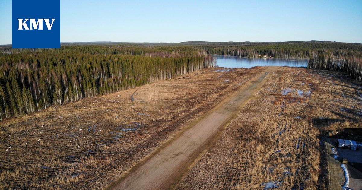 Mänttä-Vilppulan kaupunki myy puuta pystykauppana Sassinniemestä ...