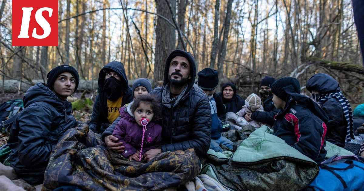 Puolan ja Valko-Venäjän rajalla jumissa yhä satoja ihmisiä - Ilta-Sanomat