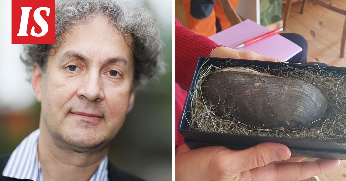 Taiteilija Osmo Rauhala järkyttyi raakkujen tuhoamisesta - Ilta-Sanomat