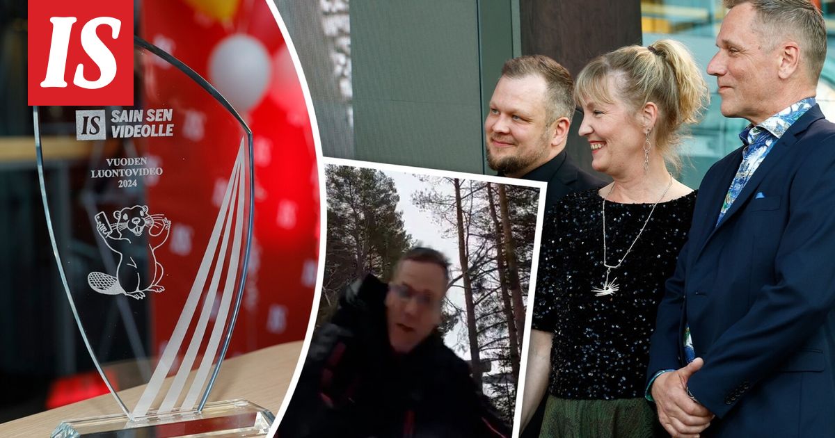 Jesse sahasi pitopuun poikki ja mänty kaatui kohti Anttia: näin hänelle ...