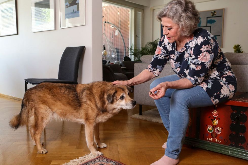 Hilkka Ahde ikävöi Matti Ahdetta - Ilta-Sanomat
