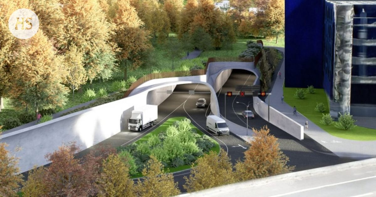 Uhanalainen koiperhonen haastaa Helsingin tunnelihankkeen | HS.fi