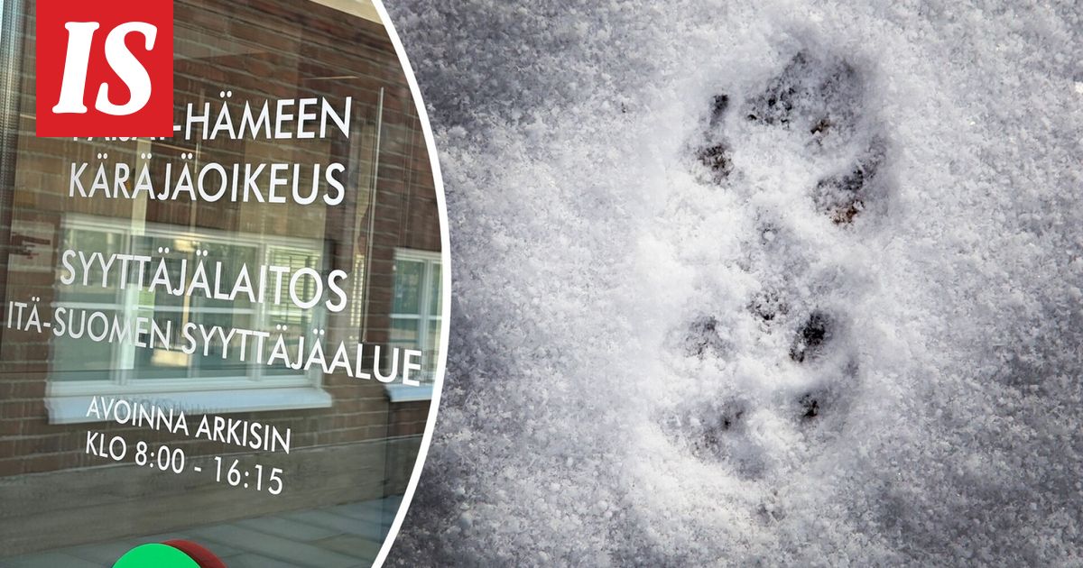 Rescue-koira raateli kolmea ihmistä Nastolassa - Ilta-Sanomat