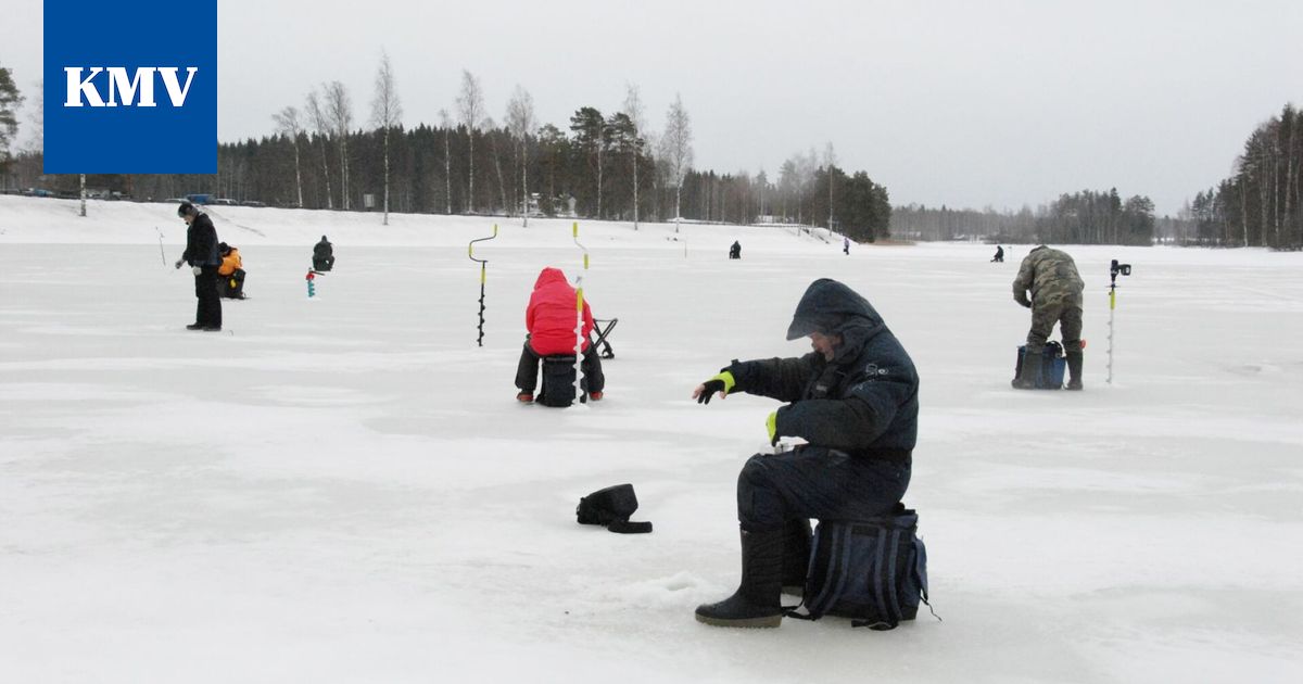 Kolhon Kalaveikot mukana SM-pilkissä – Kolmen kilon saaliilla ei ...