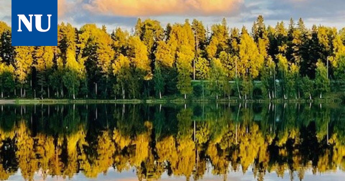 Oranssia, kultaa – Nokia puhkesi syksyn väreihin Nokian Uutisten lukijoiden kuvissa - Nokian Uutiset