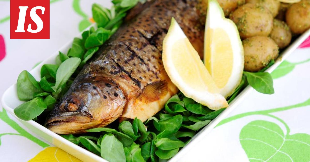 Näin kalaruoka säilyy jääkaapissa - Ilta-Sanomat