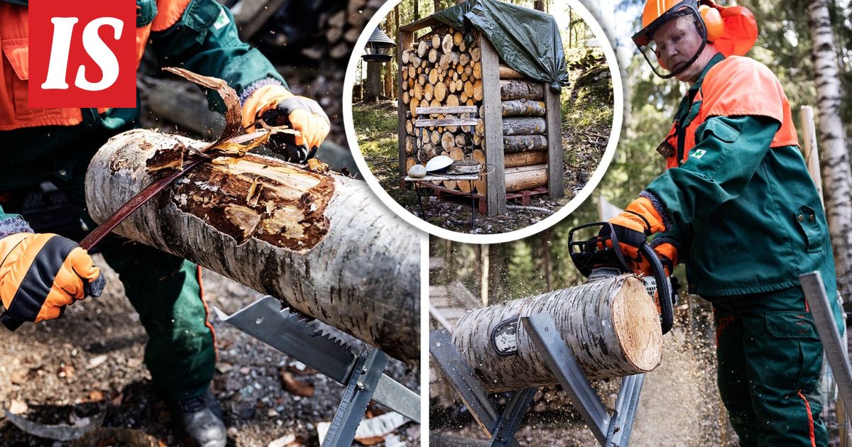 Näin hakkaat nopeasti polttopuita – ammattilainen näyttää niksin - Ilta ...