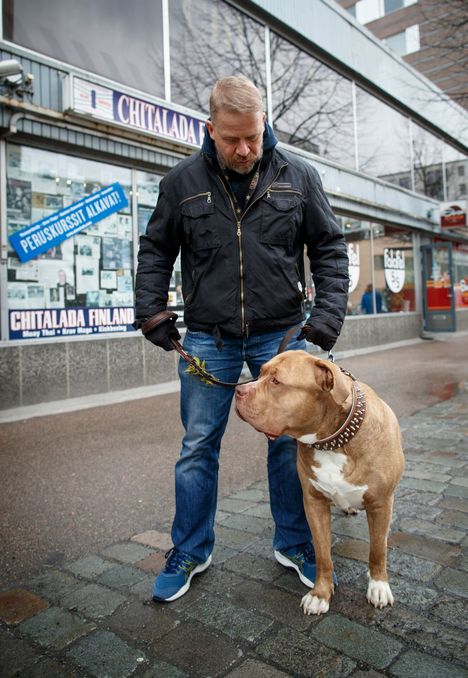 Tamperelaisella Pertillä on todella iso koira – ohikulkijat väistävät ...