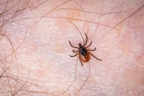 Punkit jo liikkeellä Pirkanmaalla – Yksi kaupunginosa on Tampereen ...