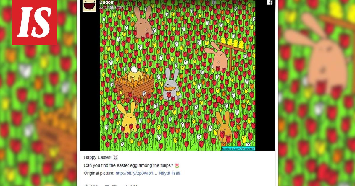 Ratkaisu pääsiäisen kuva-arvoitukseen: täällä muna lymyää! - Ilta-Sanomat