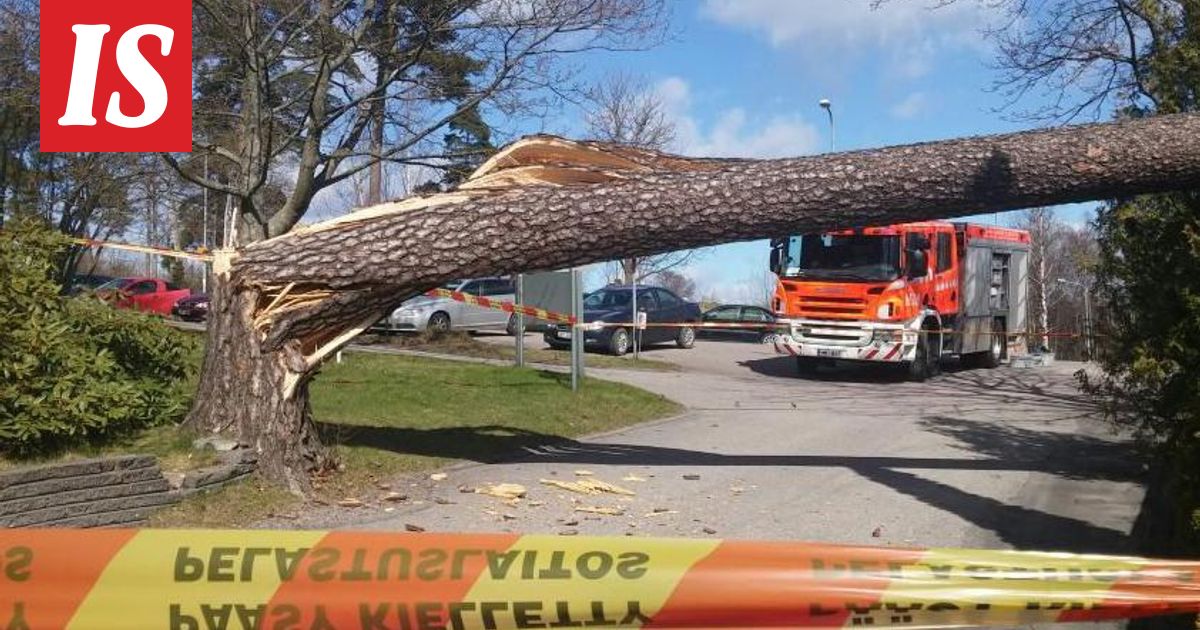 Tiistaina myrskyää: Tuuli voimistuu rajusti, vettä sataa jopa 30 milliä ...