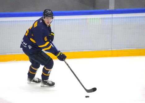 Lukko voitti runkosarjan ja sai lisää nimiä pistepörssin ...