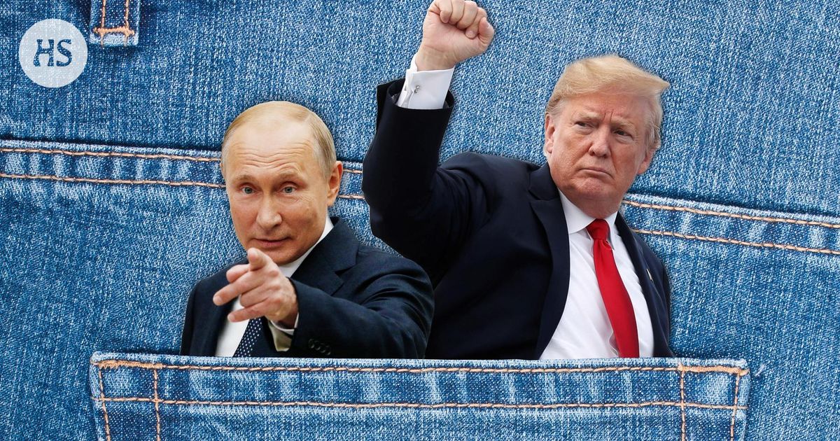 Trumputin tulee – miksi suomen kielessä on vain vähän sanataskuja eli ...