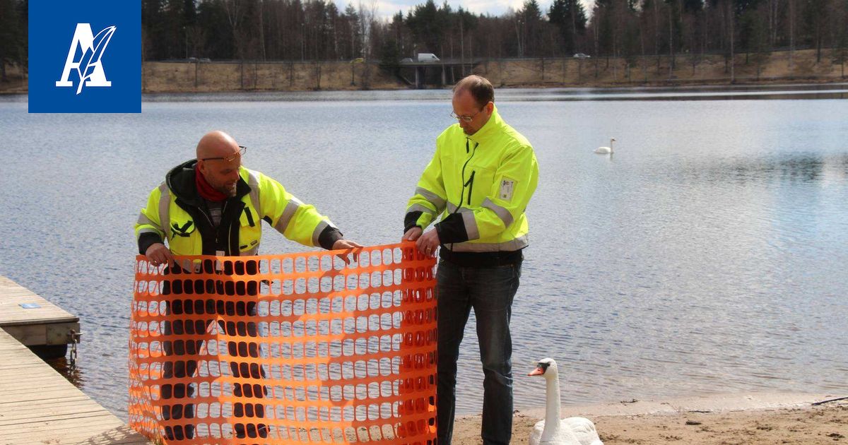 Hanhien ulosteet ärsyttävät uimarannalla Nokialla – nyt rantoja ...