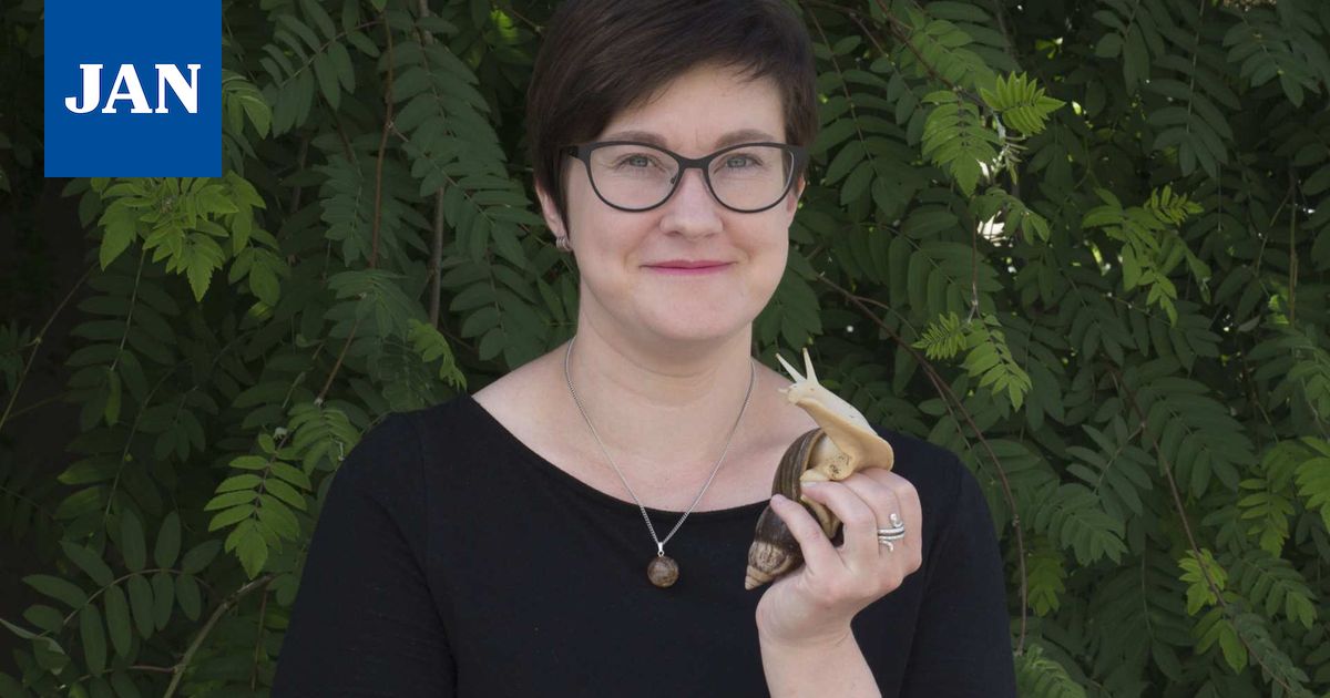 Akaattikotilo on kiva lemmikki, purkitettuna herkullinen etana ...