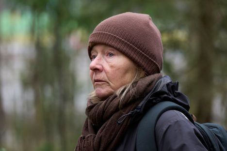 Aktivistit: Helsingin kaupunki aloitti Stansvikin hakkuut | HS.fi