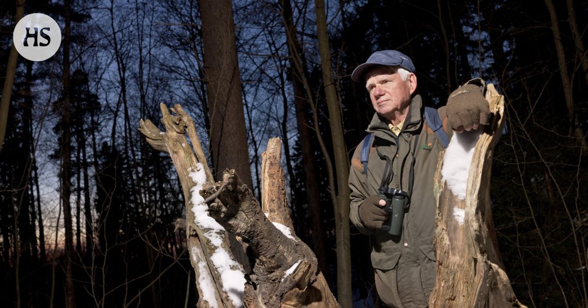 80-vuotias: Veikko Neuvonen kehitti Luontoilta-ohjelman, josta tuli ...