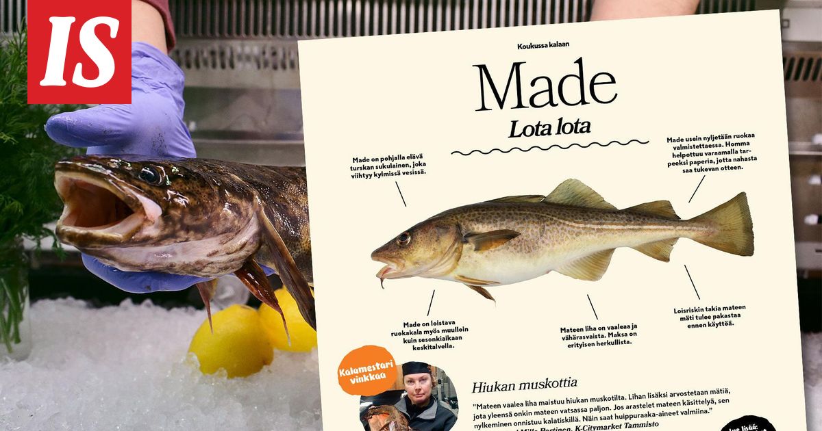 ”Kuha on kala” – mateenystävät säpsähtivät, kun aivan väärä viiksileuka ...