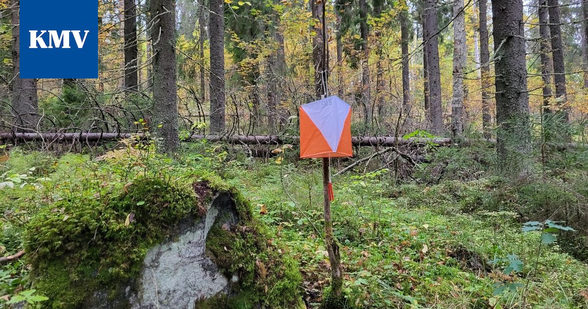 Tiistaikerho juoksi rasteilla Kolhon Loilanniemessä - KMV-lehti