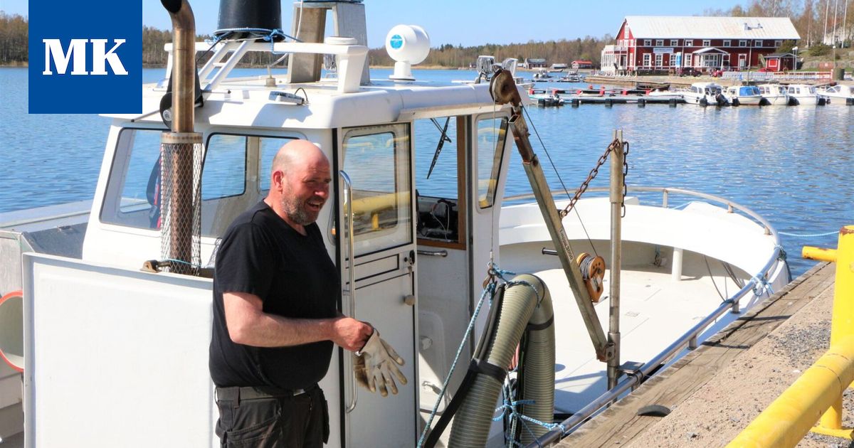 Lohen kalastus jatkuu Selkämerellä – Vaatimuksena suomunäytteiden ...