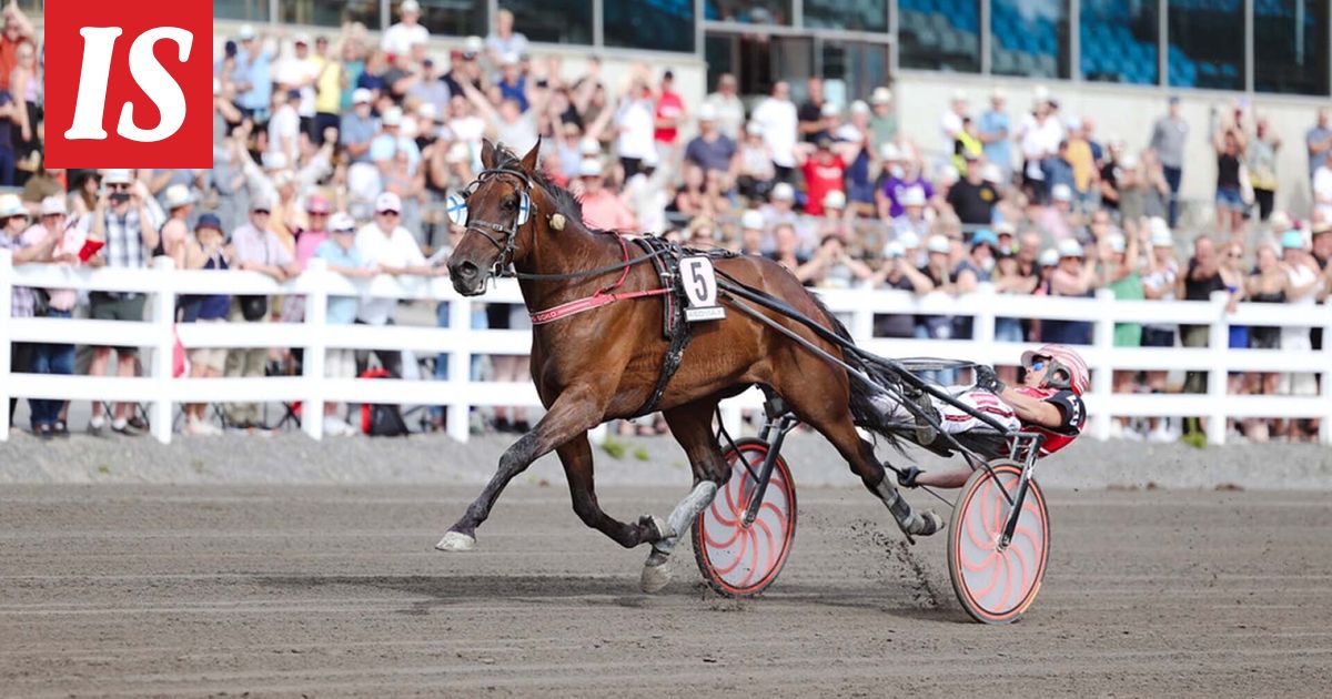 St Michel -ravit 2024: katso sunnuntain lähdöt suorana - Ilta-Sanomat