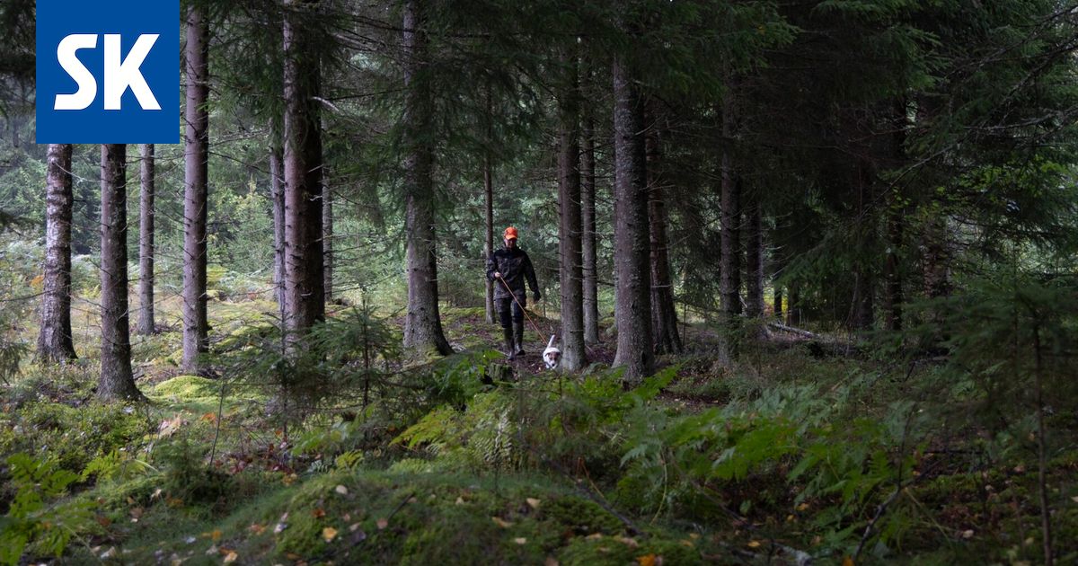 Esko Eela: Metsästäjät hoitavat luontoa talkoilla – mitkä olisivat ...