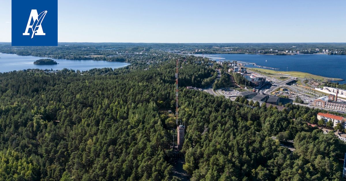 Pyynikin ainutlaatuinen harjumetsä on arvokas lahja – Sen säilyminen ja ...