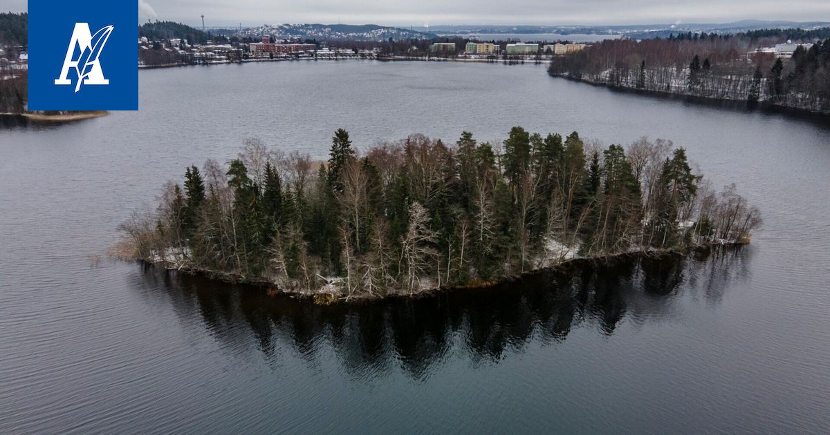 Tämän Tampereen kaupunginosan helmi on oma saari – Paikalliset kuvaavat ...