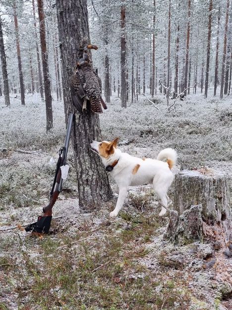Jaakko Santalahti kohtasi Janne Puhakan murhasta epäillyn Rolf Nordmon ...
