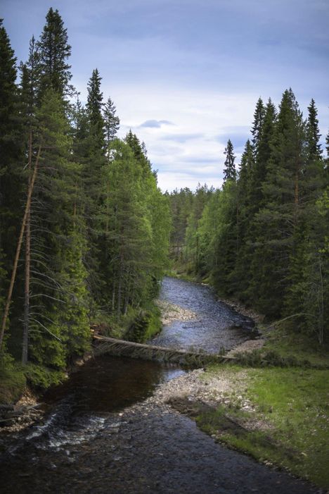 On Suomi kaunis maa! 24 upeaa luontokohdetta – nämä haluat kokea - Ilta ...
