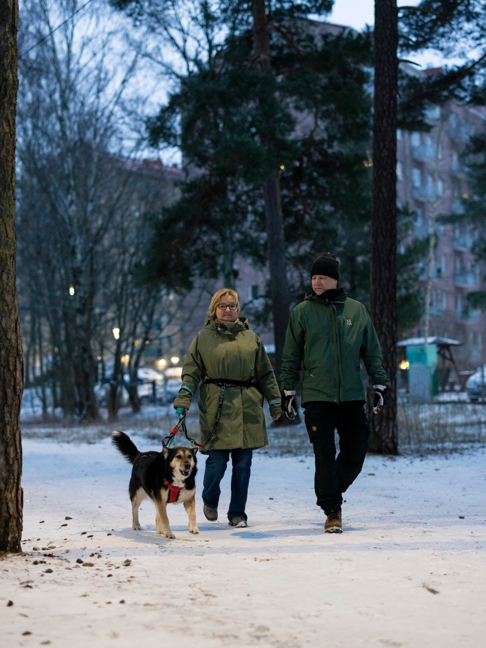 Viipurilainen rescue-koira löysi kodin Helsingistä, vaikka ...