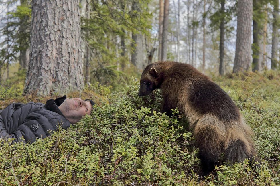 Ystäväni ahma | HS.fi