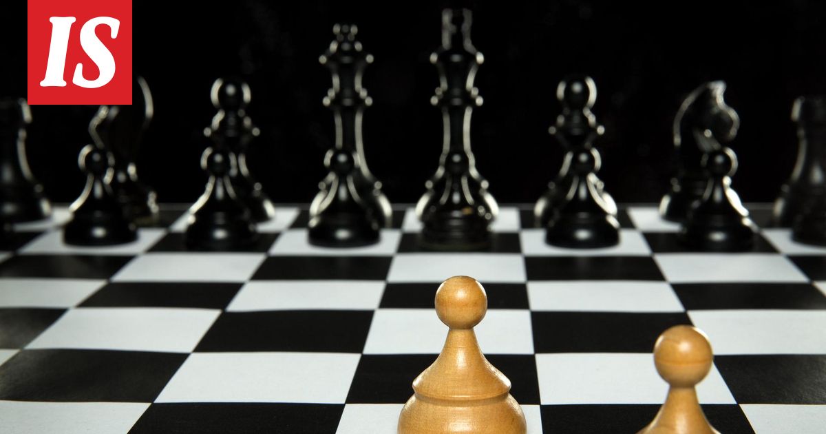 Shakki on herrasmiesten rauhallinen peli? Naispelaajan valmentaja ...