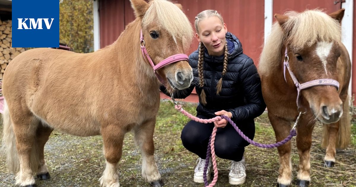 Lemmikkieläimet: Ystävyyttä, luottamusta ja elämäniloa – Mänttäläinen ...