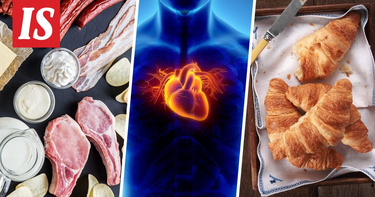 Kova rasva nostaa sydäntautiriskiä jo kolmessa viikossa - Ilta-Sanomat