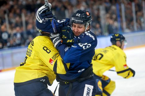 Leijonat palaa Tampereelle