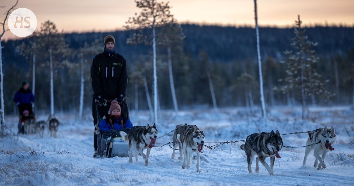 Riisitunturin kansallispuiston viereen on tulossa tuulivoimaloita | HS.fi