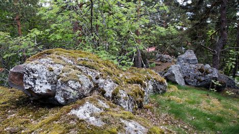 Raisio - Rannikkoseutu