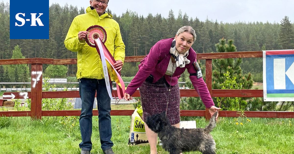 Koiranäyttely keräsi kiitoksia – Liikuntapuistossa hyvät alueet ...