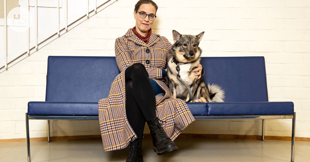 Hoitojärjestelmä tökkii, sanoo psykiatrian professori Suoma Saarni | HS.fi