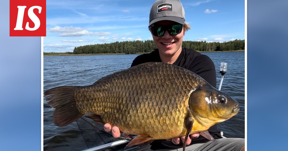 Tammisaaresta iso ruutana - Ilta-Sanomat